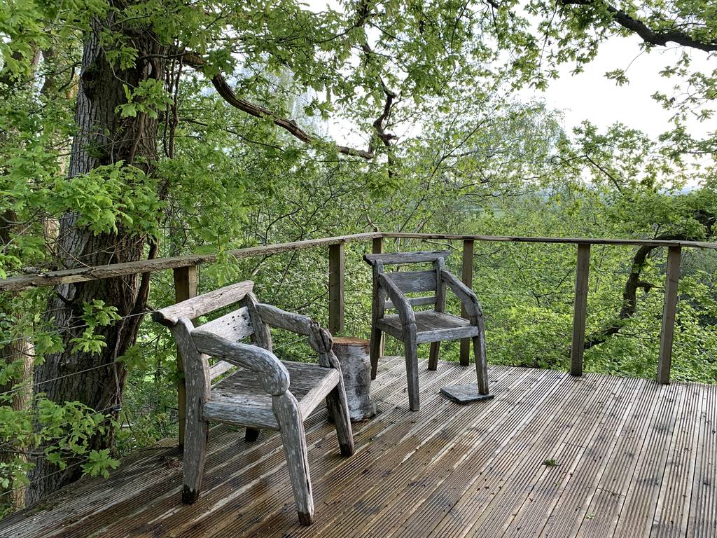 Oak Apple Tree Tent | Pod in Monmouthshire | Canopy & Stars