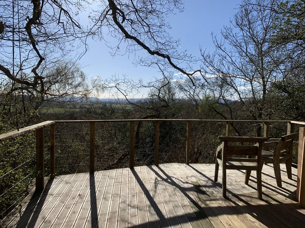 Oak Apple Tree Tent | Pod in Monmouthshire | Canopy & Stars