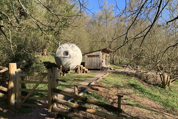 Oak Apple Tree Tent | Pod in Monmouthshire | Canopy & Stars