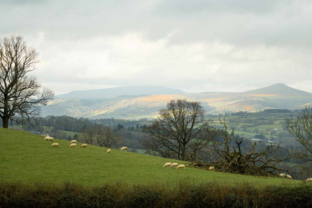 Skirrid Cabin | Cabin in Monmouthshire | Canopy & Stars