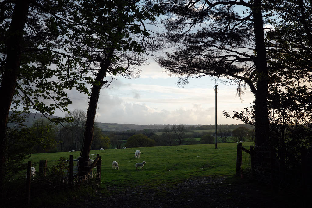 Ffynone Bach | Cabin in Pembrokeshire | Canopy & Stars