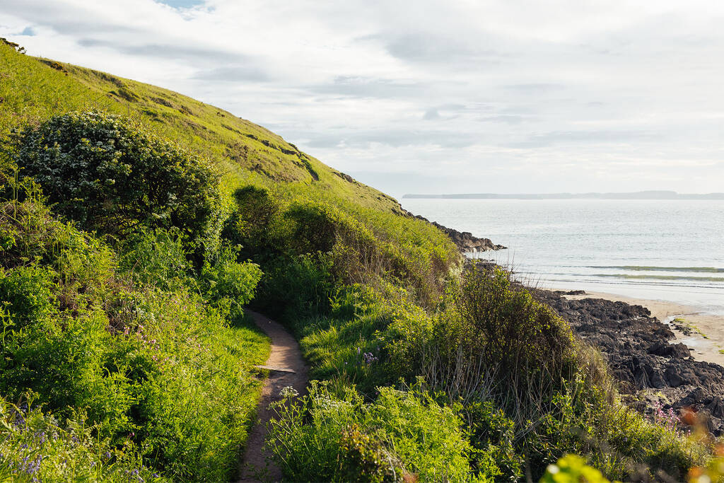 The Sea Shed | Cabin in Pembrokeshire | Canopy & Stars