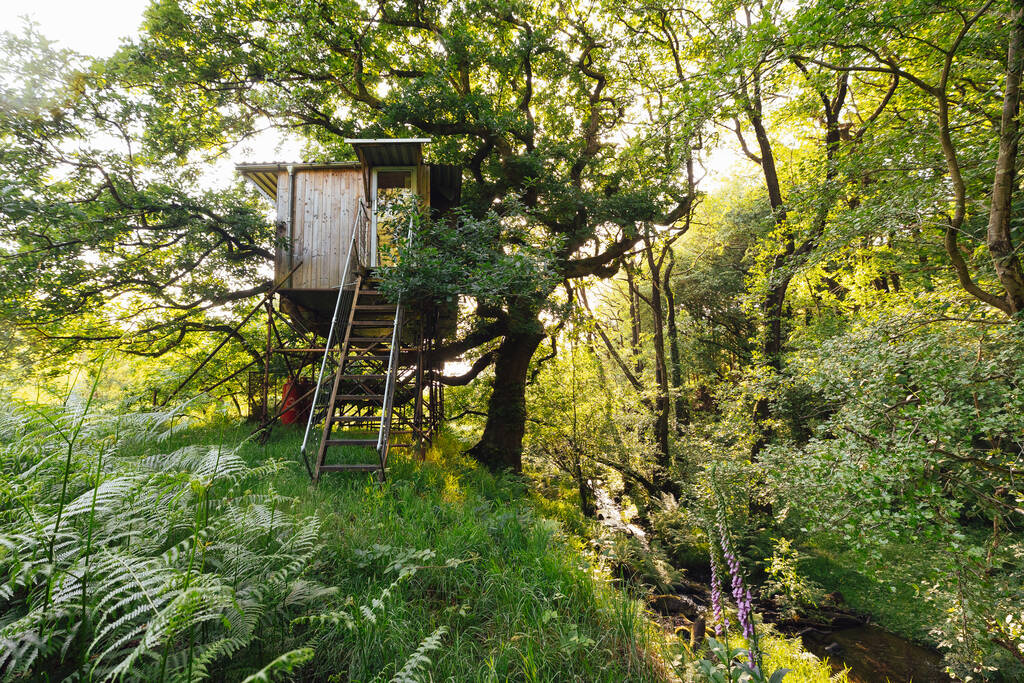 Beudy Banc Treehouse | Treehouse in Powys | Canopy & Stars