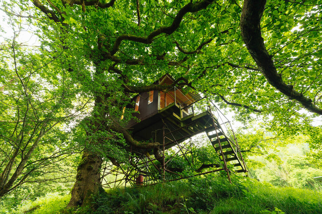 Beudy Banc Treehouse | Treehouse in Powys | Canopy & Stars