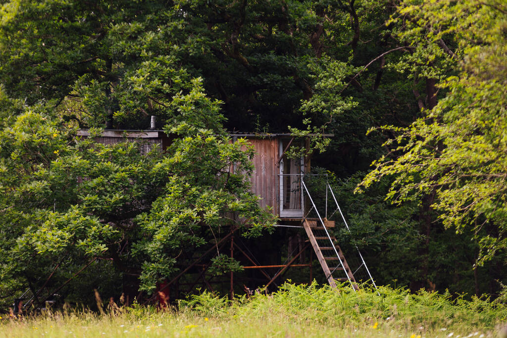 Beudy Banc Treehouse | Treehouse in Powys | Canopy & Stars