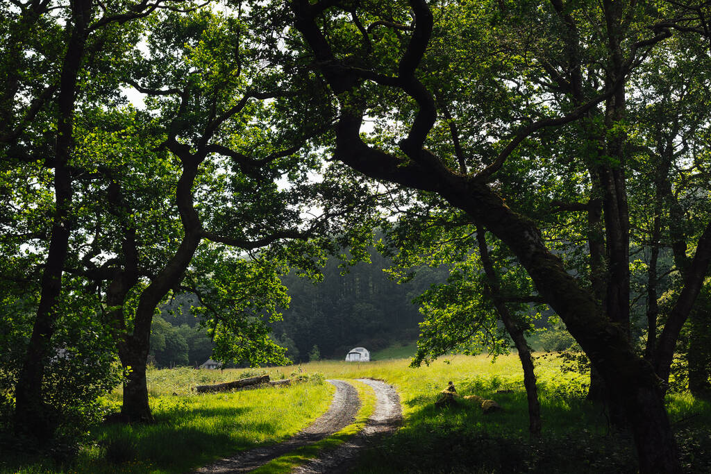 Caban Cadno | Cabin in Powys | Canopy & Stars