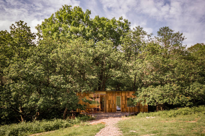 Nyth y Barcud Treehouse | Treehouse in Powys | Canopy & Stars