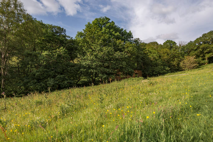 Nyth y Barcud Treehouse | Treehouse in Powys | Canopy & Stars