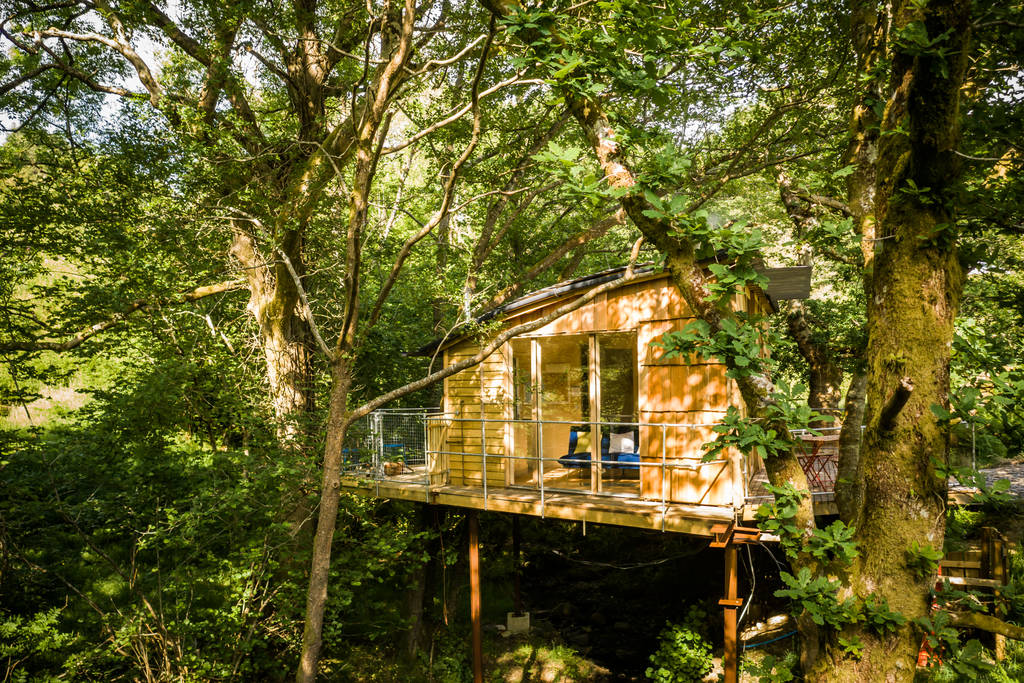 Nyth y Barcud Treehouse | Treehouse in Powys | Canopy & Stars