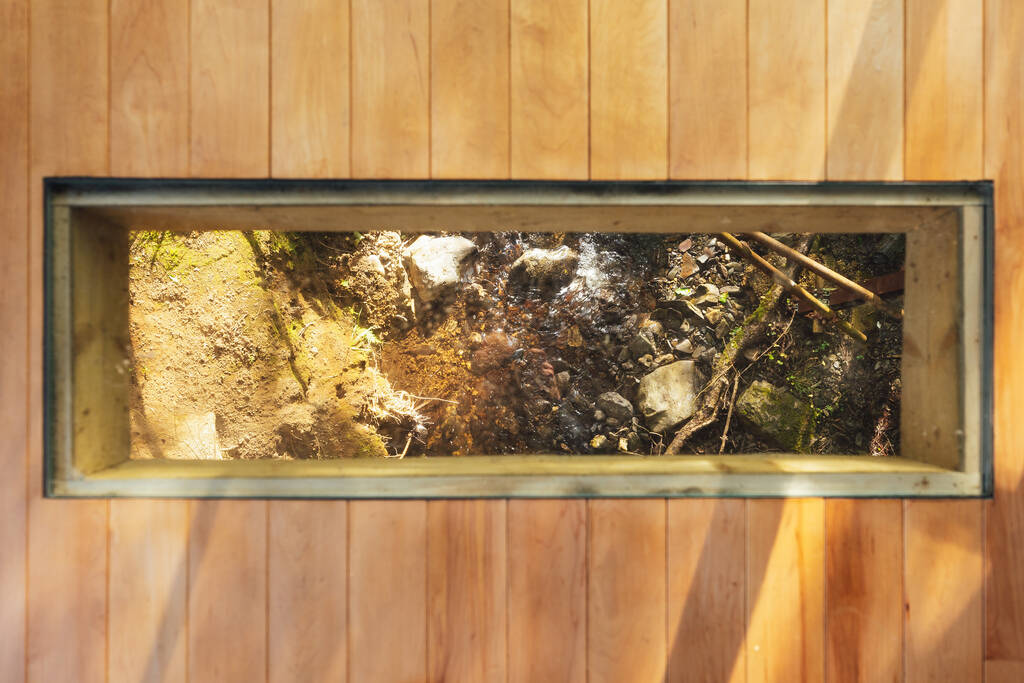 Nyth y Barcud Treehouse | Treehouse in Powys | Canopy & Stars