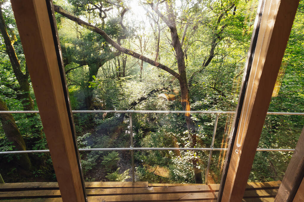 Nyth y Barcud Treehouse | Treehouse in Powys | Canopy & Stars