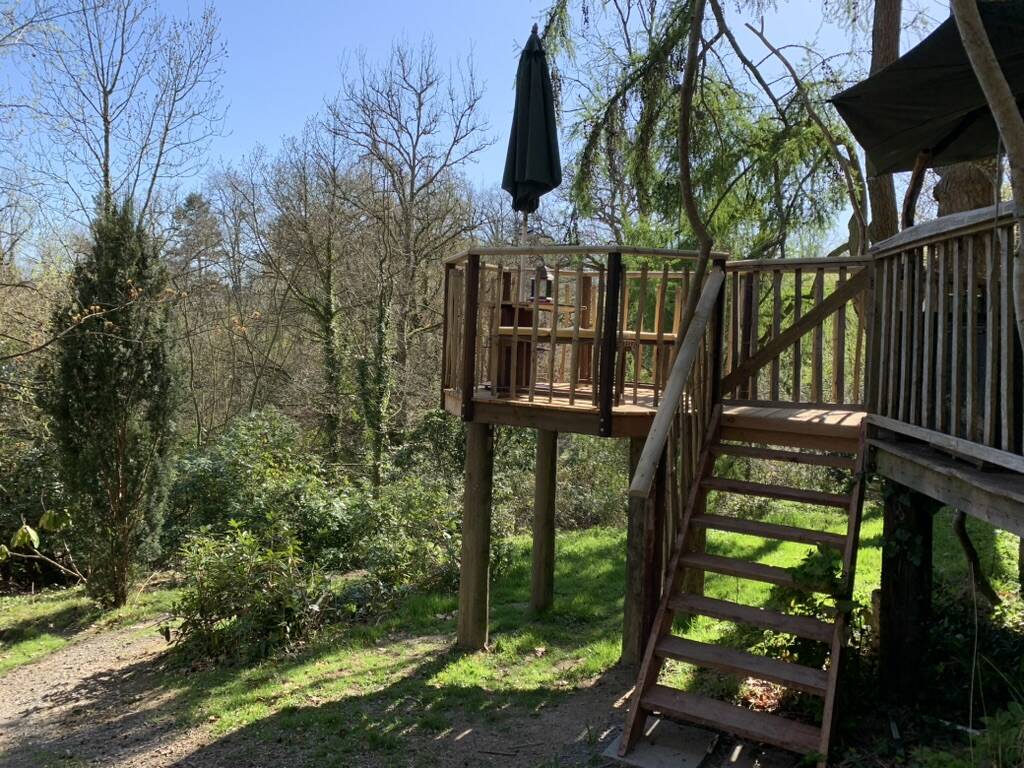 Old Larch Yurt | Yurt in Powys | Canopy & Stars