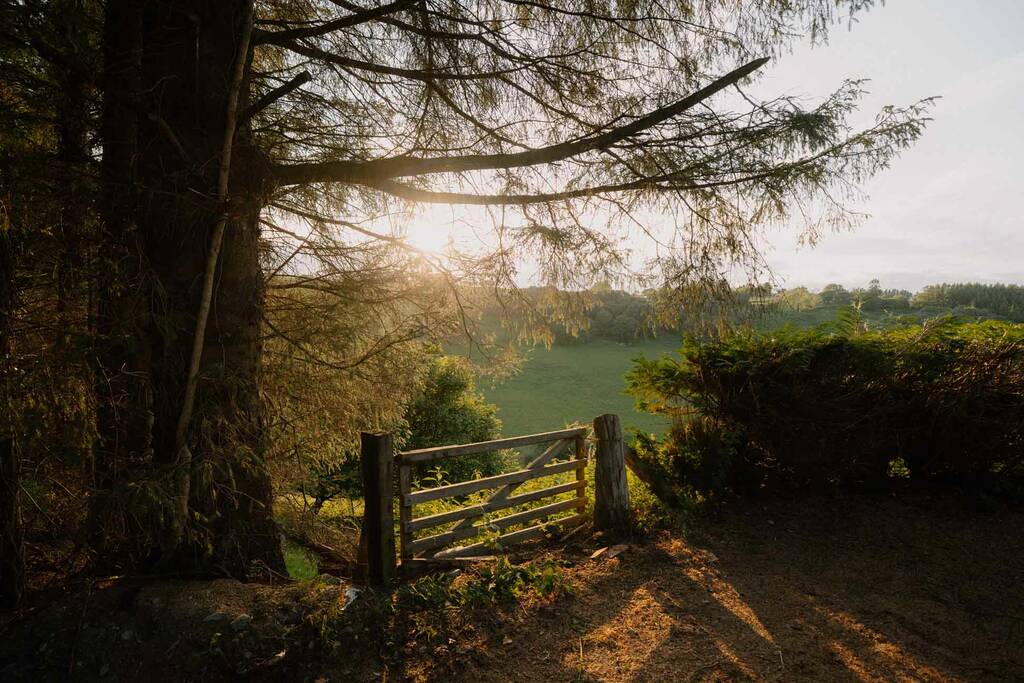 Twll Triongl | Cabin in Powys | Canopy & Stars