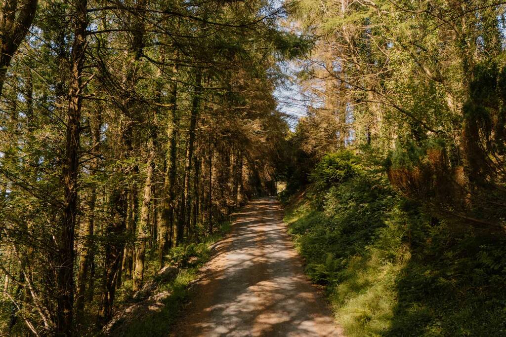 Twll Triongl | Cabin in Powys | Canopy & Stars