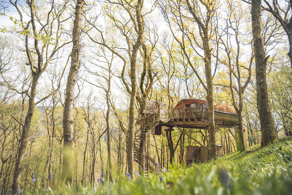 Gwdy Hw | Treehouse in Powys | Canopy & Stars