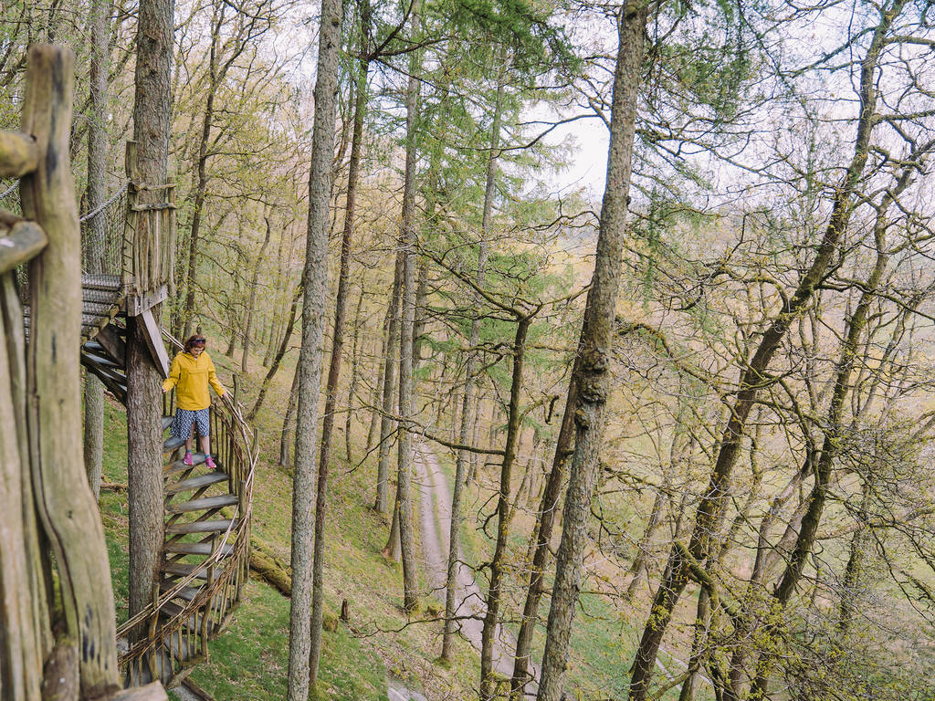 Lofty | Treehouse in Powys | Canopy & Stars