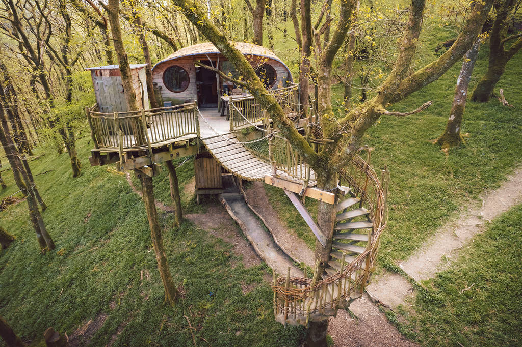 Lofty | Treehouse in Powys | Canopy & Stars