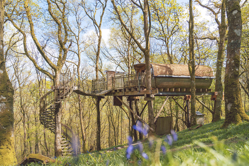Ty Mawr | Treehouse in Powys | Canopy & Stars