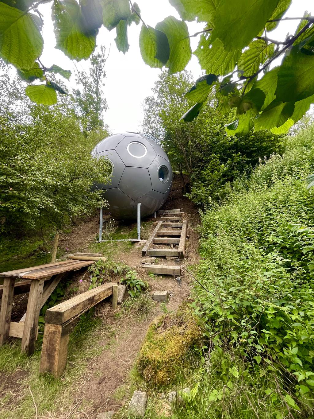 Moon Conker | Cabin in Powys | Canopy & Stars