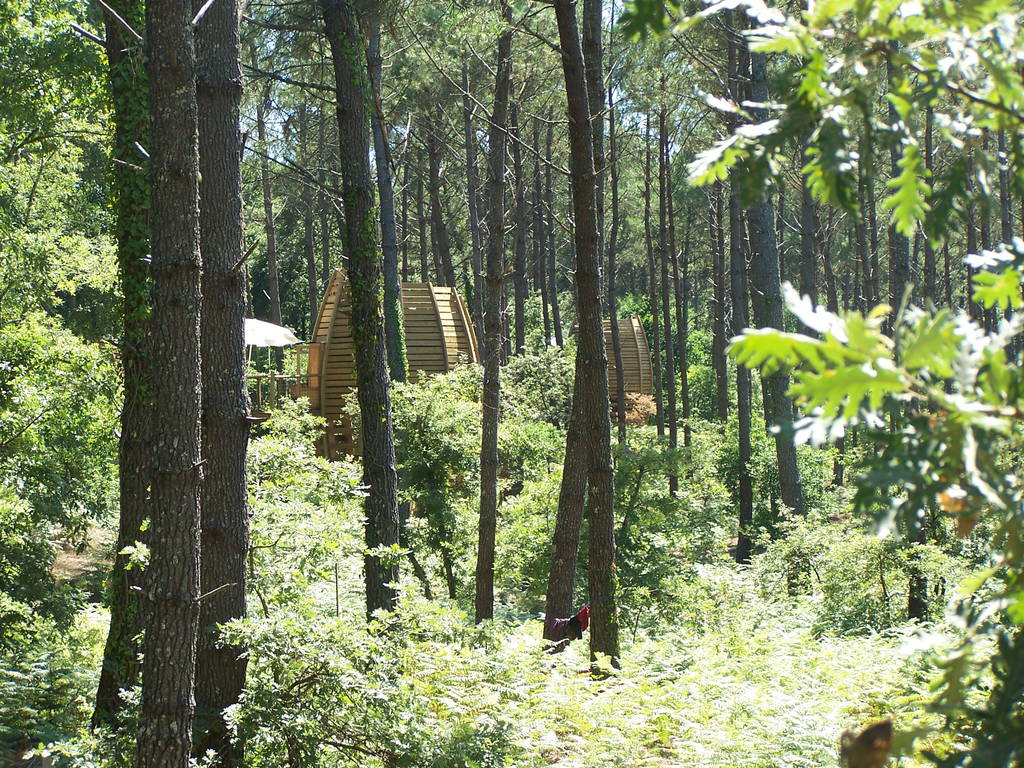 Star Treehouse | Treehouse in Gironde | Canopy & Stars
