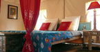 Lily Lodge | Safari tent in Landes | Canopy & Stars