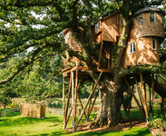Tinkers Treehouse | Treehouse in East Sussex | Canopy & Stars