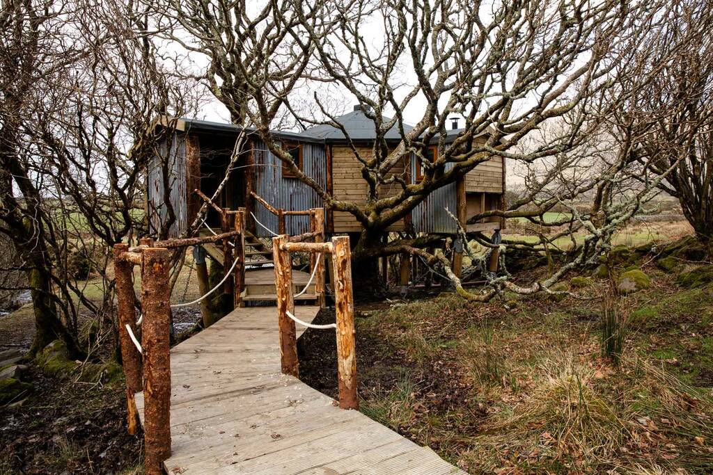 The Oak Tree House at Boheh | Treehouse in Co. Mayo | Canopy & Stars