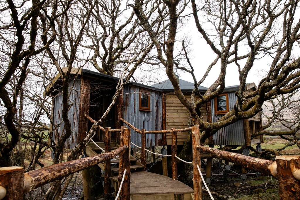 The Oak Tree House at Boheh | Treehouse in Co. Mayo | Canopy & Stars