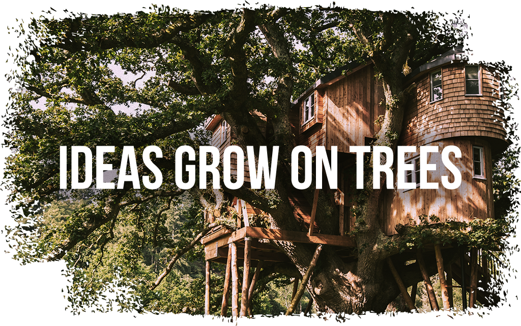 NatureWorks | Canopy & Stars