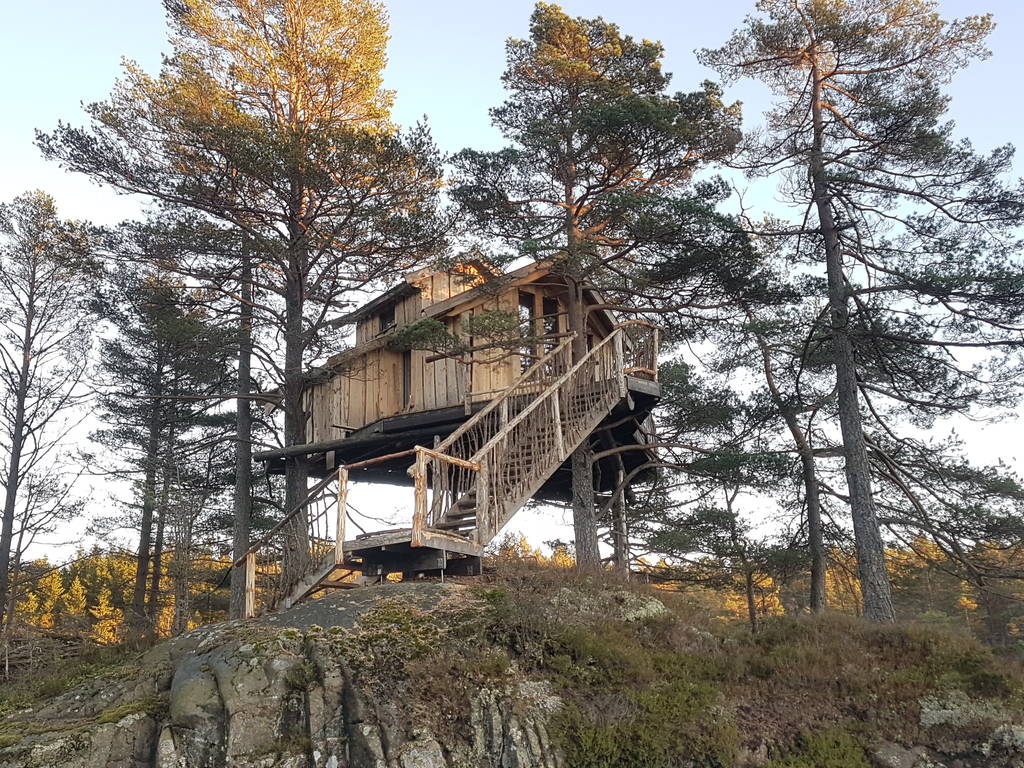 The Island Cabin | Treehouse in Agder | Canopy & Stars