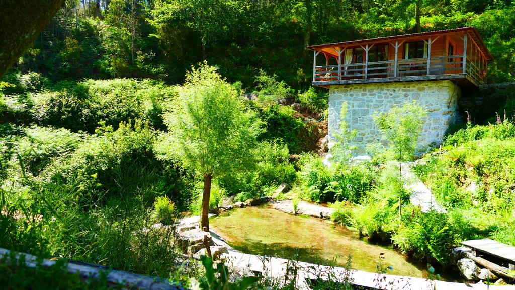 The Birds Mill | Cabin in Minho | Canopy & Stars