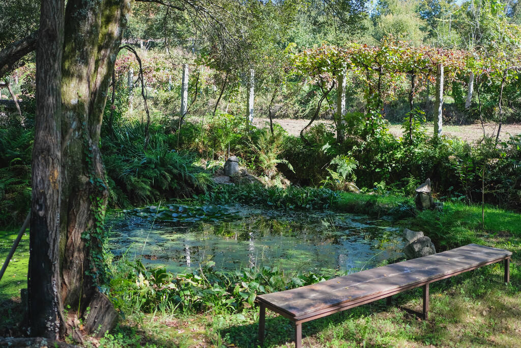 The Birds Mill | Cabin in Minho | Canopy & Stars