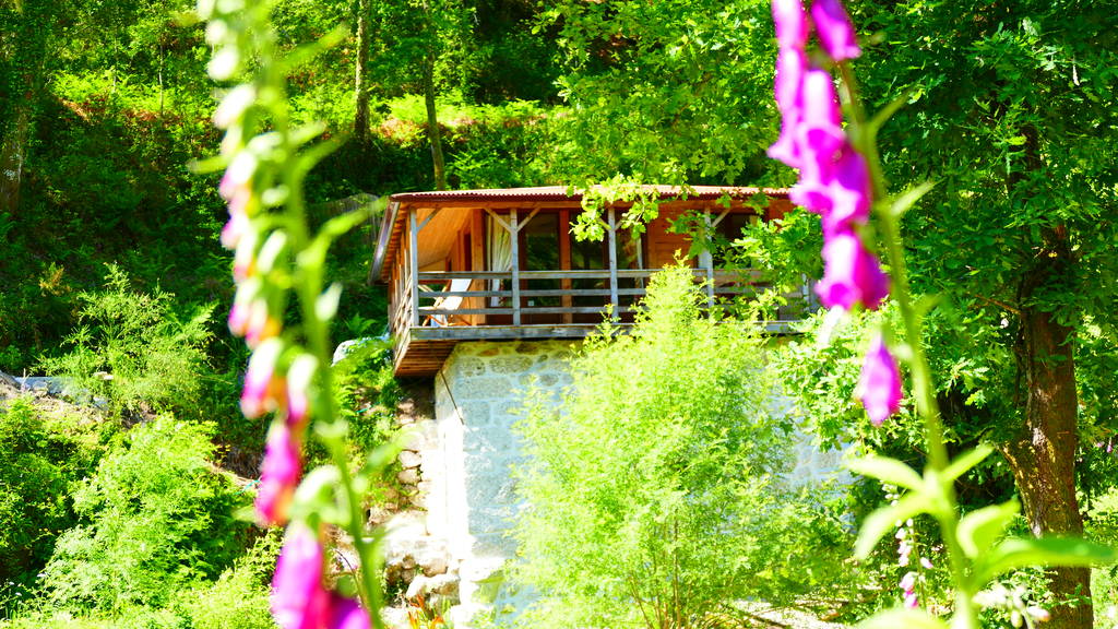 The Birds Mill | Cabin in Minho | Canopy & Stars