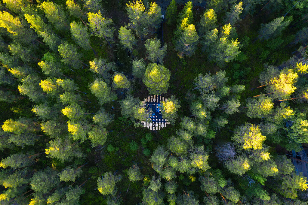 Biosphere | Treehouse in Norrbotten | Canopy & Stars