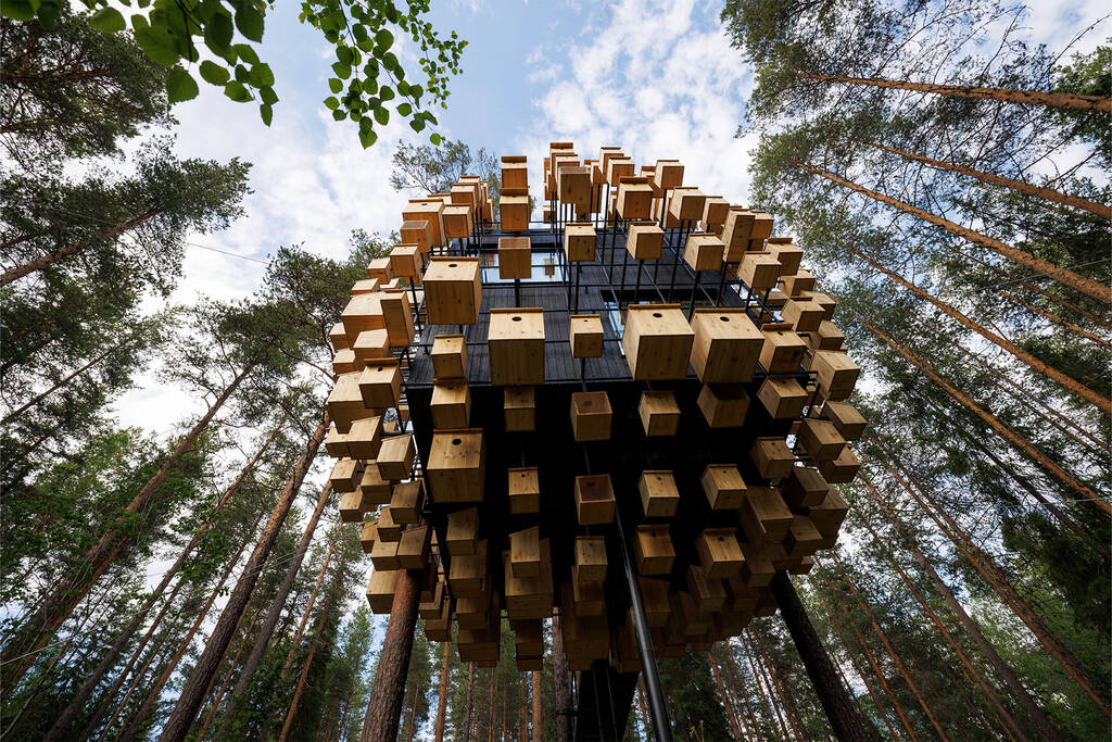 Biosphere | Treehouse in Norrbotten | Canopy & Stars