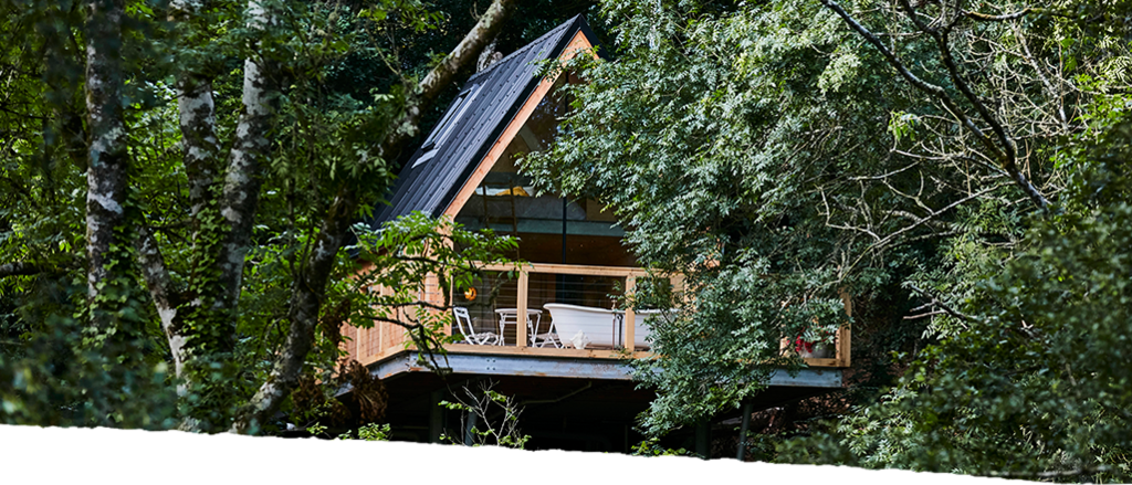 Owner Hub | Canopy & Stars