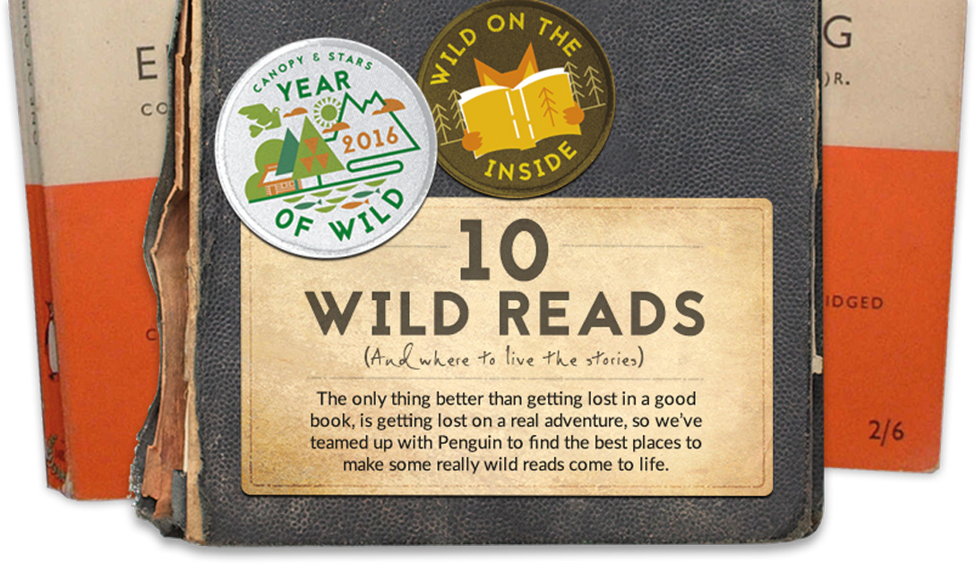 Wild Reading | Canopy & Stars