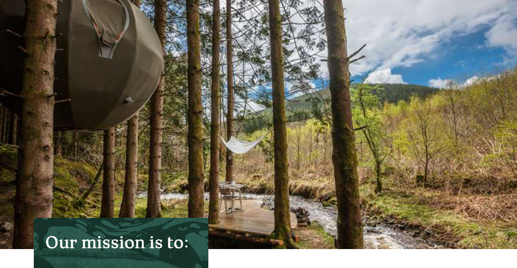 About us | Canopy & Stars